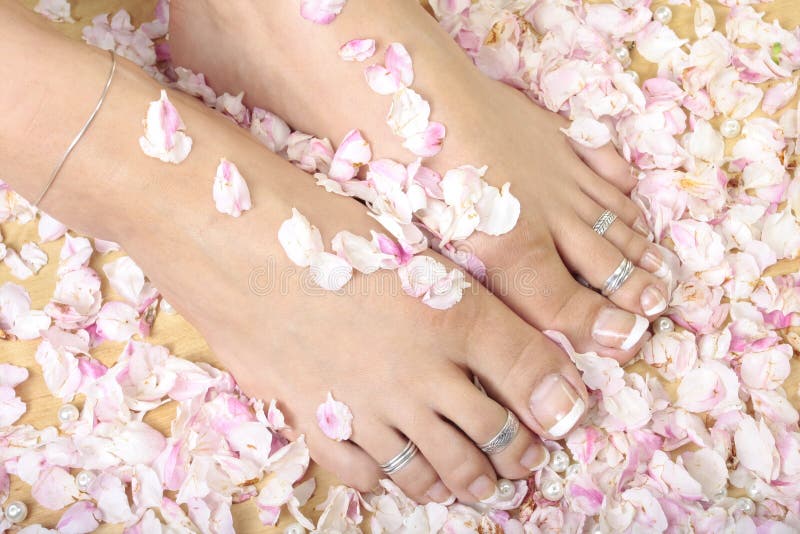 Woman S Feet and Rose Petals Stock Photo - Image of therapeutic, feet ...