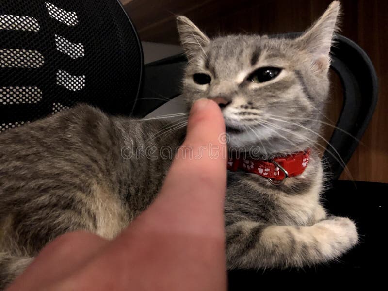 Finger Pointing Saalbach Town on Austria Map Stock Image - Image of holiday, skiing: 200568181