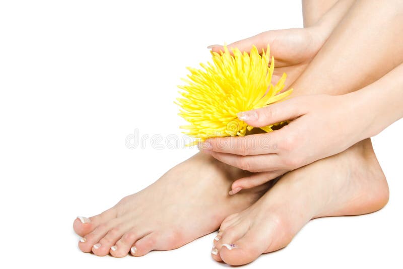 Woman S Foot and Hand with Flowers on White Stock Photo - Image of ...