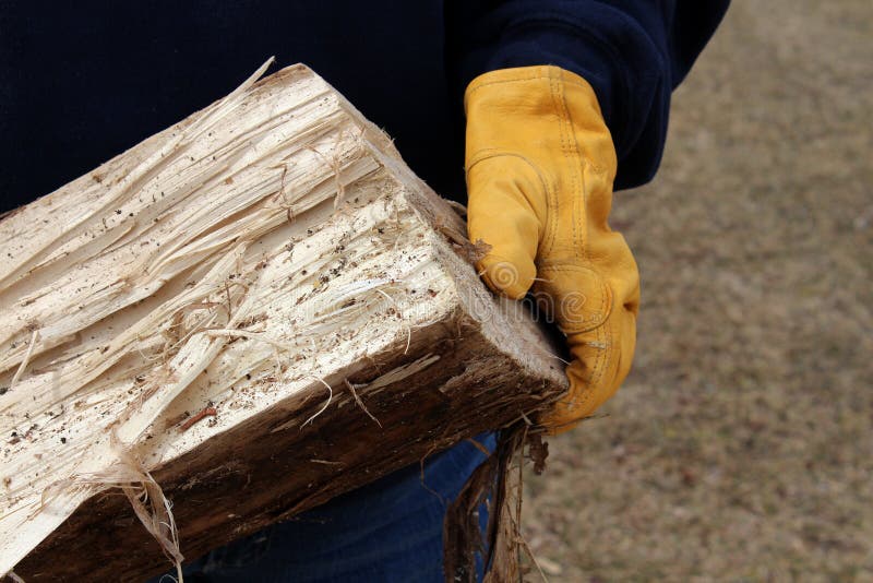 Woman S Gloved Hands Carrying Wood Stock Photo - Image of flame ...