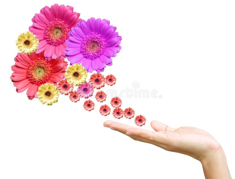 Woman s hand with flowers stock photo. Image of ecofriendly - 20133470