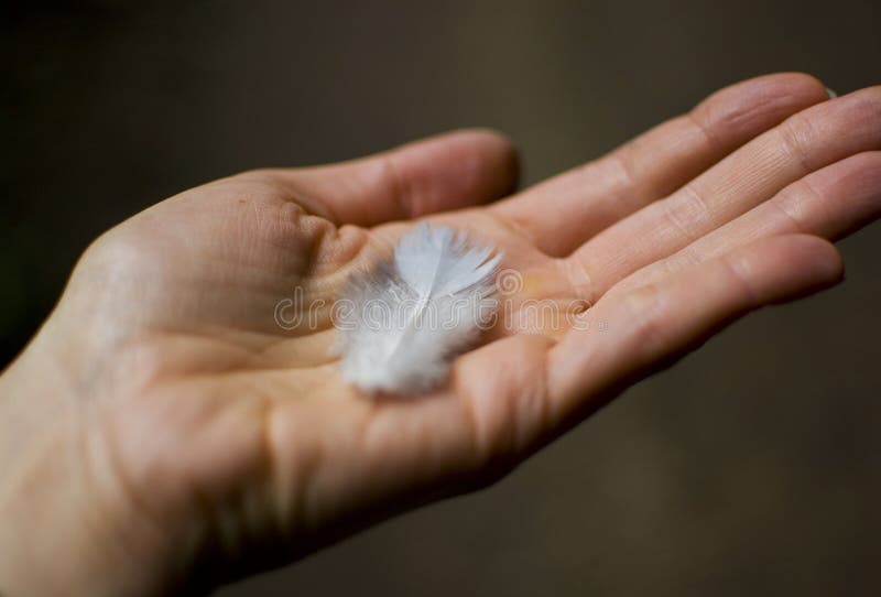 Woman S Hand Holding Feather. Stock Image - Image of adult, hygiene ...