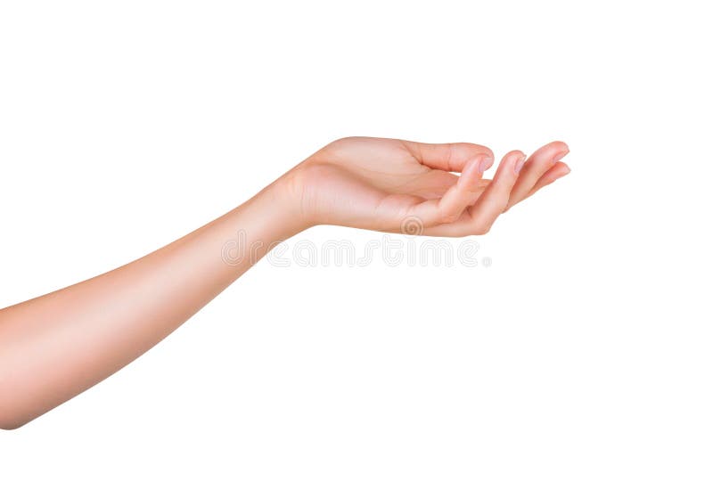 Woman's hand stock image. Image of female, concept, femininity - 36242483