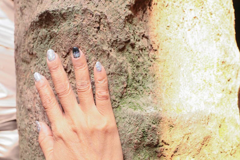 Woman`s Hand on the Palm Tree Stock Photo - Image of growth, plants ...