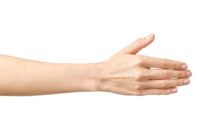 Woman`s Hand Ready for Handshaking Stock Image - Image of background ...