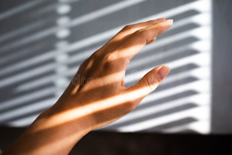 Woman`s Hand with Shadows from Blinds Stock Photo - Image of ...