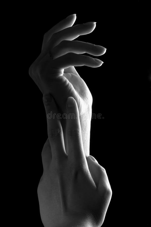 Woman s hands_0864 stock photo. Image of beauty, wrist - 24198496