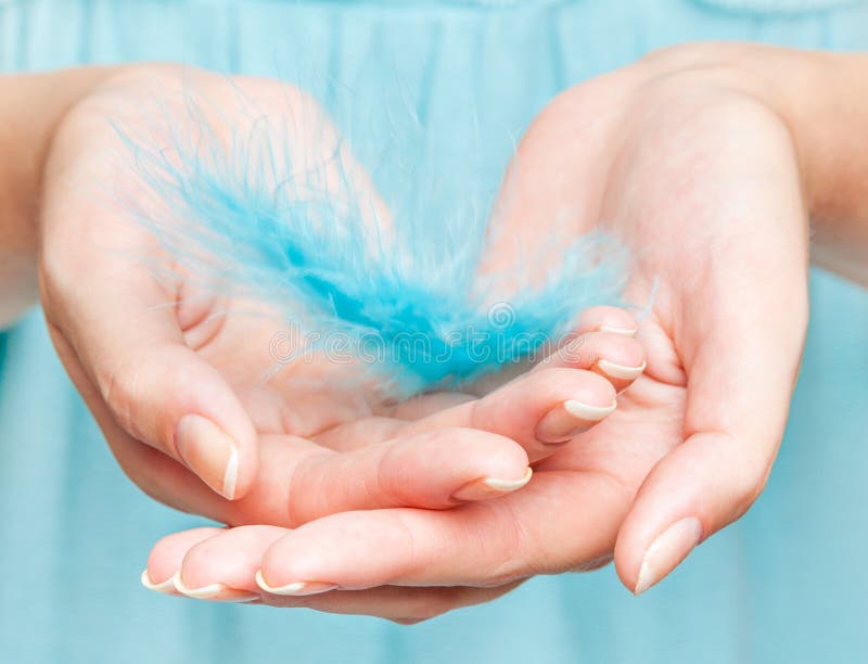 Woman s hands with feather stock image. Image of affectionate - 26206013