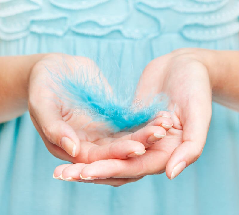 Woman s hands with feather stock photo. Image of palm - 26603836