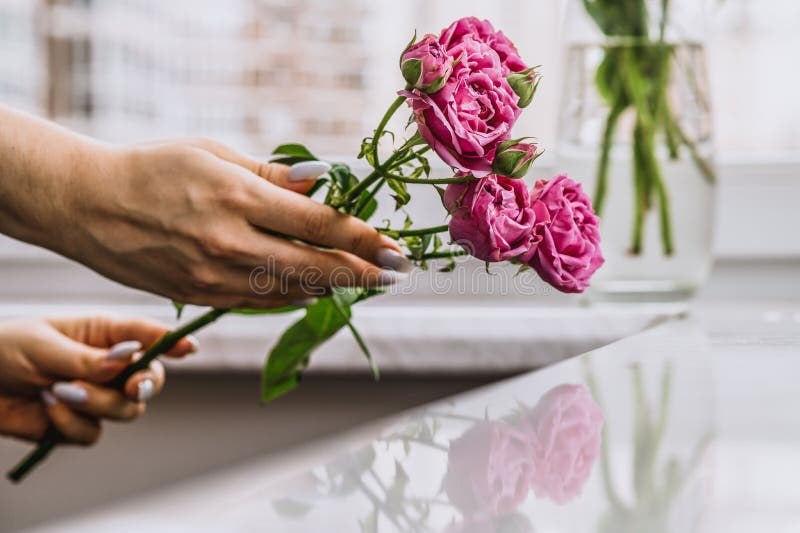Woman s hands with roses stock photo. Image of romantic - 233725008