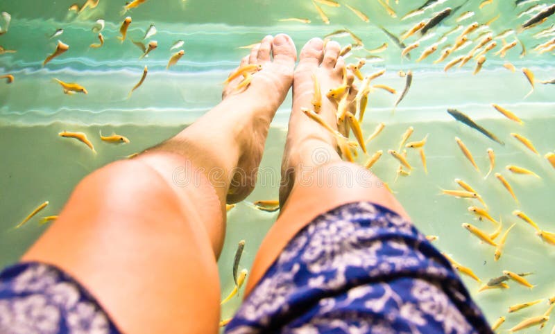 Woman s leg with Fish spa stock photo. Image of knee - 21333822