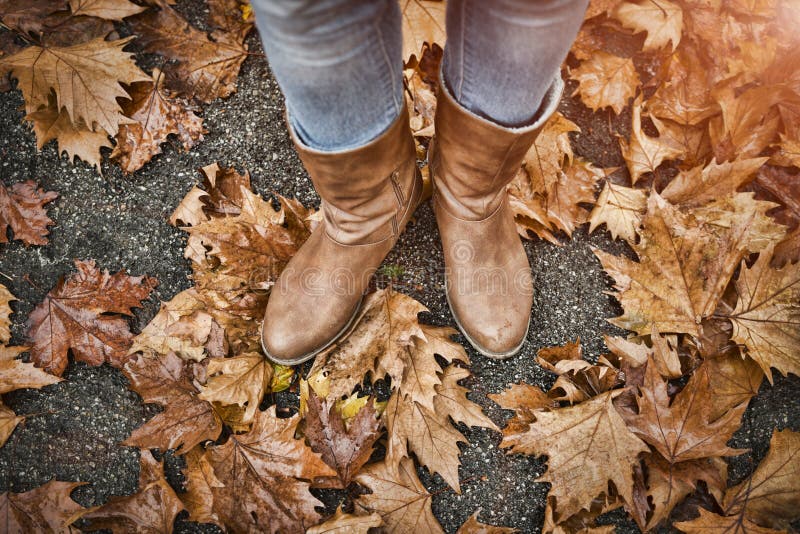 Woman`s Legs in Boots on Autumn Leaves Stock Image - Image of step ...