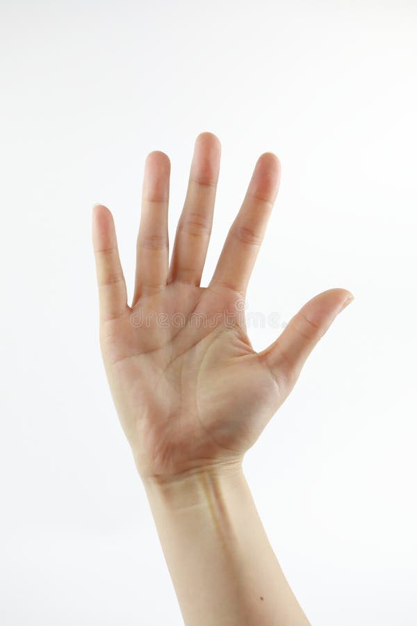 Open hand stock image. Image of clip, isolation, hand - 113648983