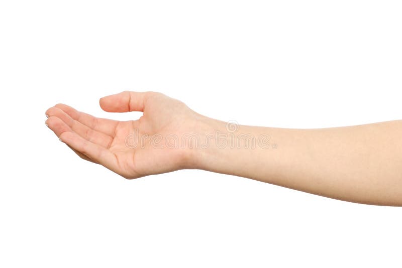 Woman`s Stretched Hand with Open Palm Stock Photo - Image of fingers ...
