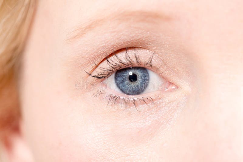 Woman`s Right Eye stock photo. Image of female, eyelashes - 85470698