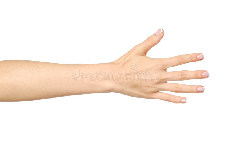 Woman`s Stretched Hand with Open Palm Stock Image - Image of female ...