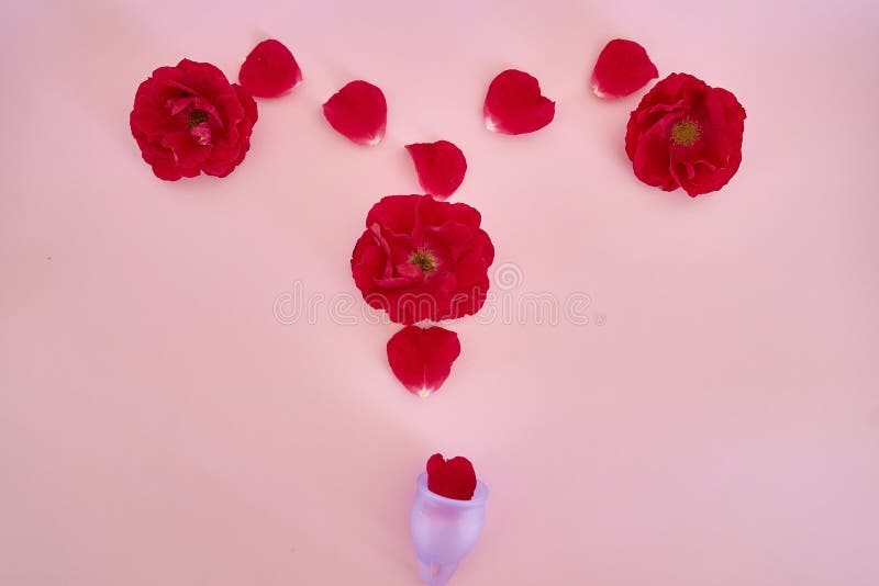 Woman S Uterus, Red Roses, Menstruation Stock Photo - Image of ...