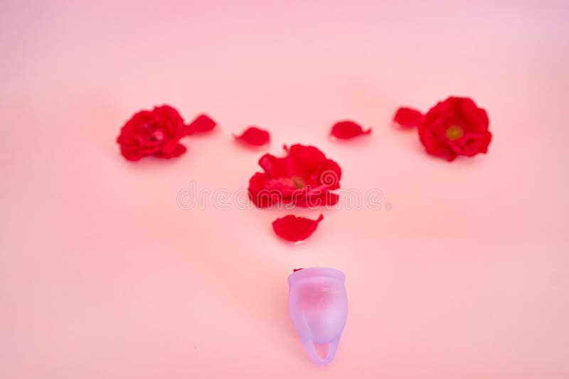 Woman S Uterus, Red Roses, Menstruation Stock Image - Image of woman ...