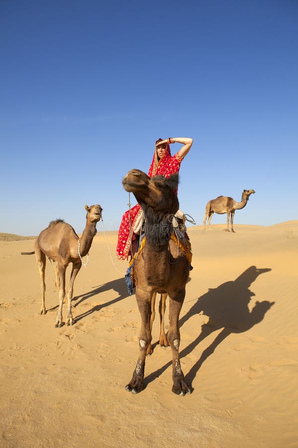 Woman in a Sari Riding a Camel Train. Stock Photo - Image of indian ...