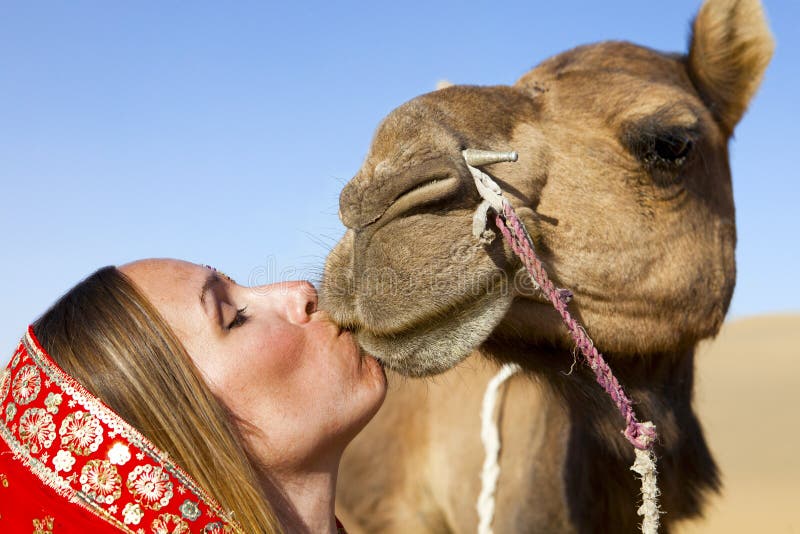 Woman in Sari Riding a Camel. Stock Photo - Image of dune, india: 26283996