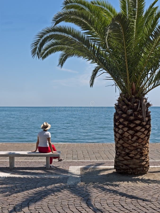 Woman Sat Under Palm Tree in Sunshine Stock Image - Image of bench ...