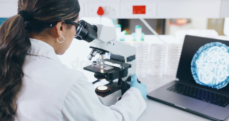 Woman, Science and Laptop with Microscope in Lab, Microbiology and ...