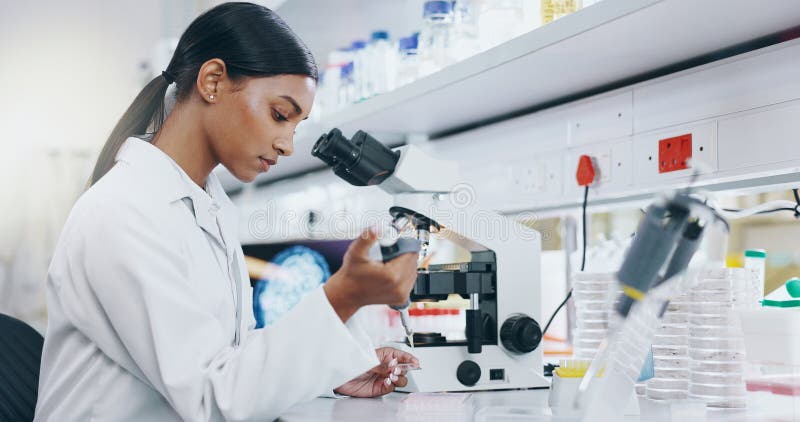 Woman, Science and Working with Microscope in Laboratory, Microbiology ...