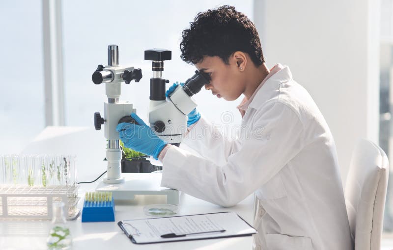 Woman, Scientist and Document with Microscope in Lab, Plant Experiment ...