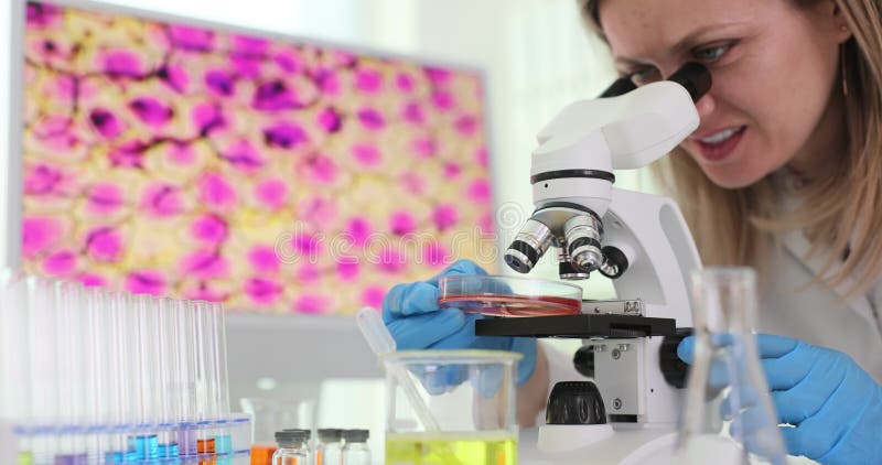 Woman Scientist Examines Specimen Under Microscope in Lab Stock Footage ...