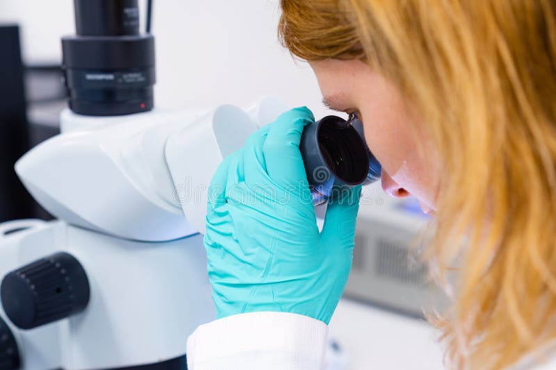 Woman Scientist Looking through a Microscope in a Laboratory. Stock ...