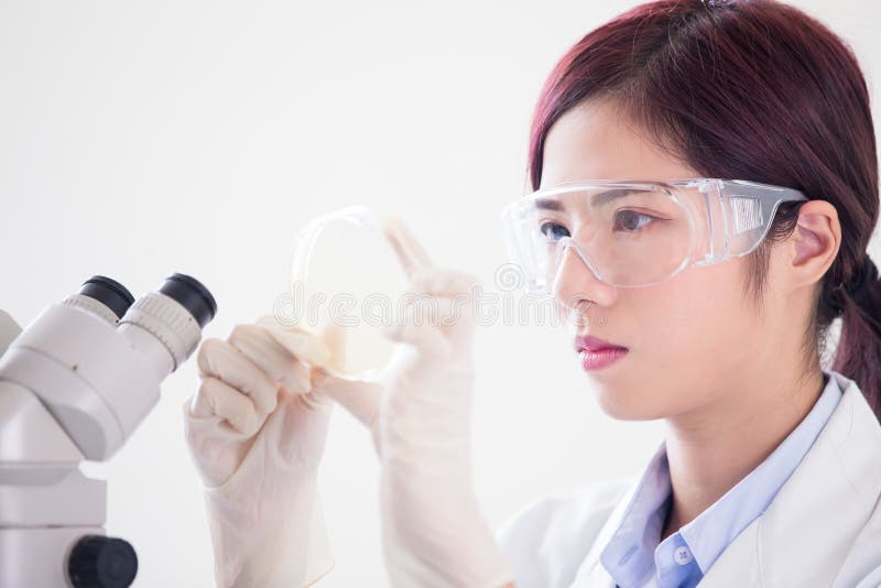 Microscope and petri dish stock photo. Image of experiment - 162068676