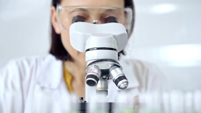 Woman Scientist Using Microscope in Laboratory. Microbiology Science ...