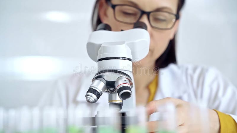Woman Scientist Using Microscope in Laboratory. Microbiology Science ...