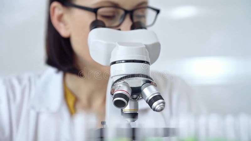 Woman Scientist Using Microscope in Laboratory. Microbiology Science ...
