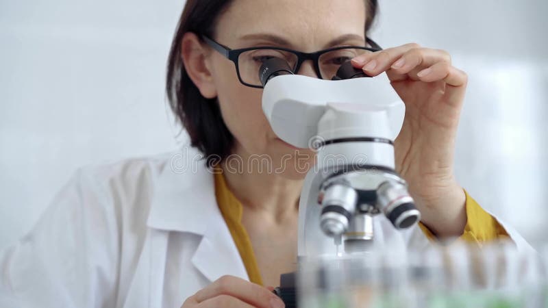 Woman Scientist Using Microscope in Laboratory. Microbiology Science ... Woman Scientist Using Microscope in Laboratory. Microbiology Science ...