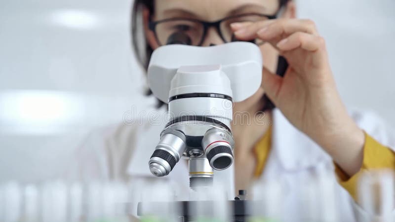 Woman Scientist Using Microscope in Laboratory. Microbiology Science ...