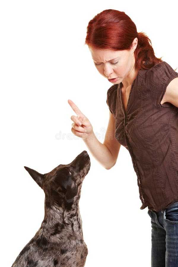 Woman scolding her dog stock image. Image of hound, people - 20183015