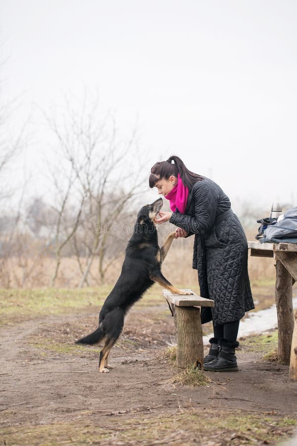 Woman Scratching Her Dog and Giving it a High Five Stock Image - Image ...