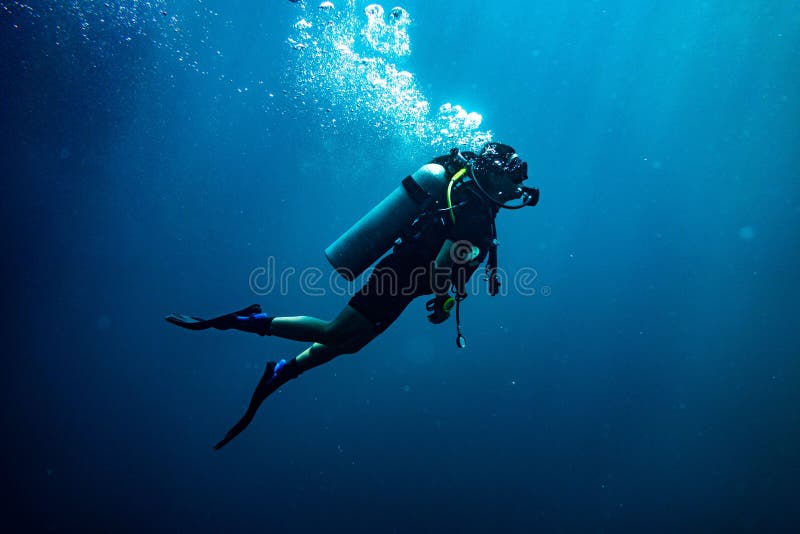 Woman Reaching Underwater Stock Photos - Free & Royalty-Free Stock ...