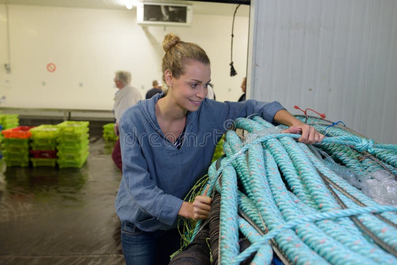 Woman Securing Bundle Rope in Fish Factory Stock Image - Image of ...