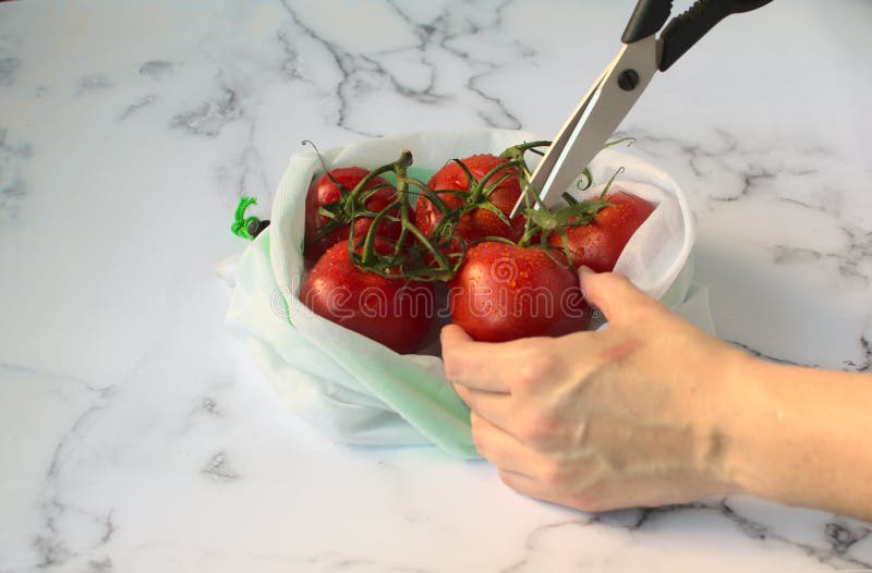 No plastic waste stock photo. Image of tomatoes, vegetable - 185692942