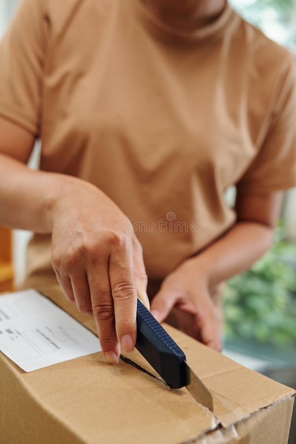 Woman Unpacking Boxes stock photo. Image of female, fast - 275969542