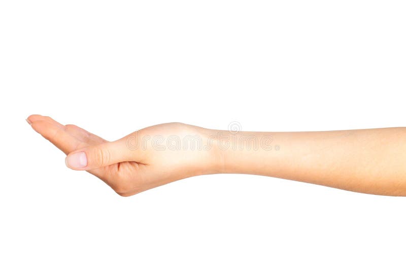 Woman Showing Open Hand or Holding Something Stock Photo - Image of ...
