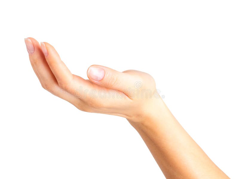 Woman Showing Open Hand or Holding Something Stock Image - Image of ...