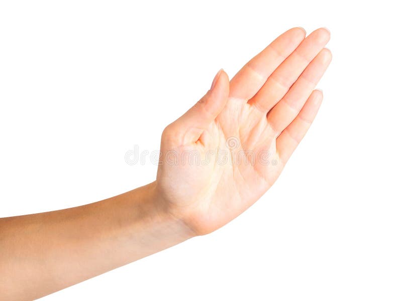 Woman Showing Open Hand Taking Something or Shaking Stock Image - Image ...