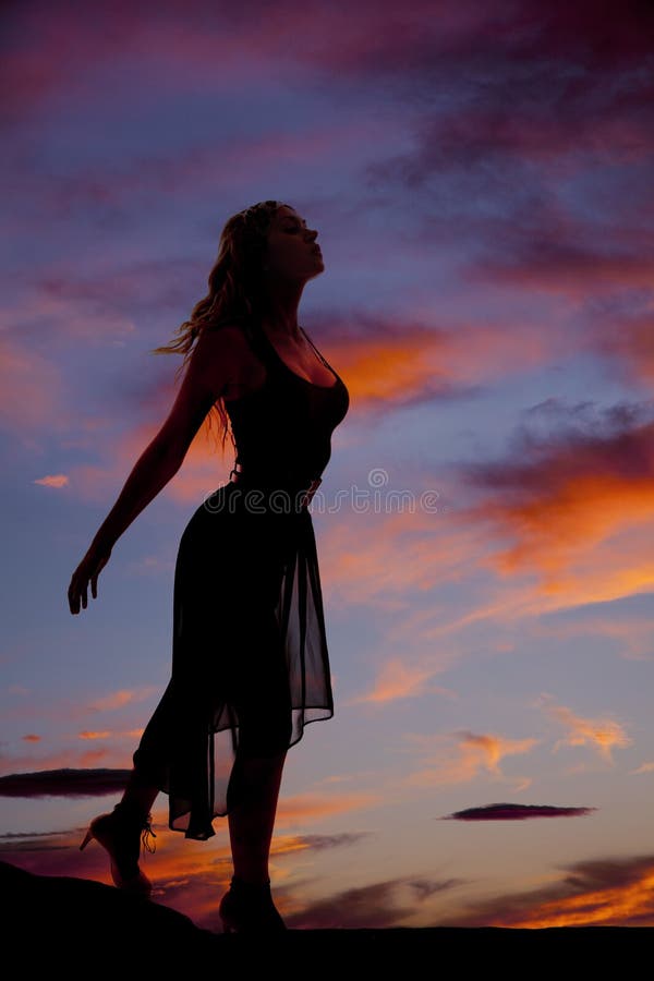 Woman silhouette hand back stock image. Image of attractive - 29128389