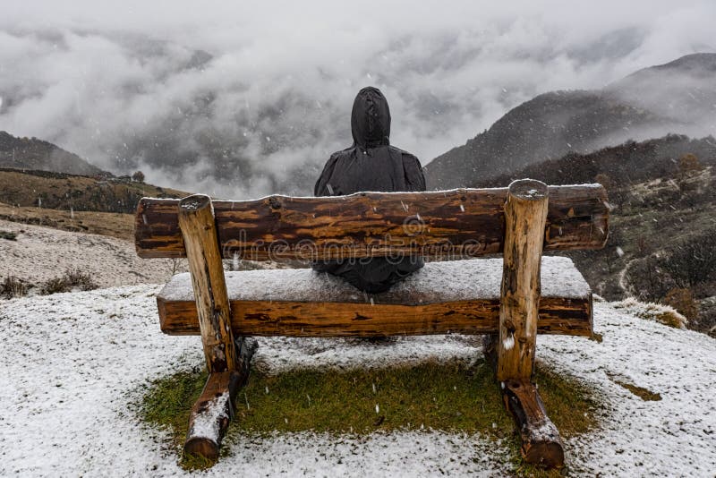 Sitted Women Back Stock Photos - Free & Royalty-Free Stock Photos from ...