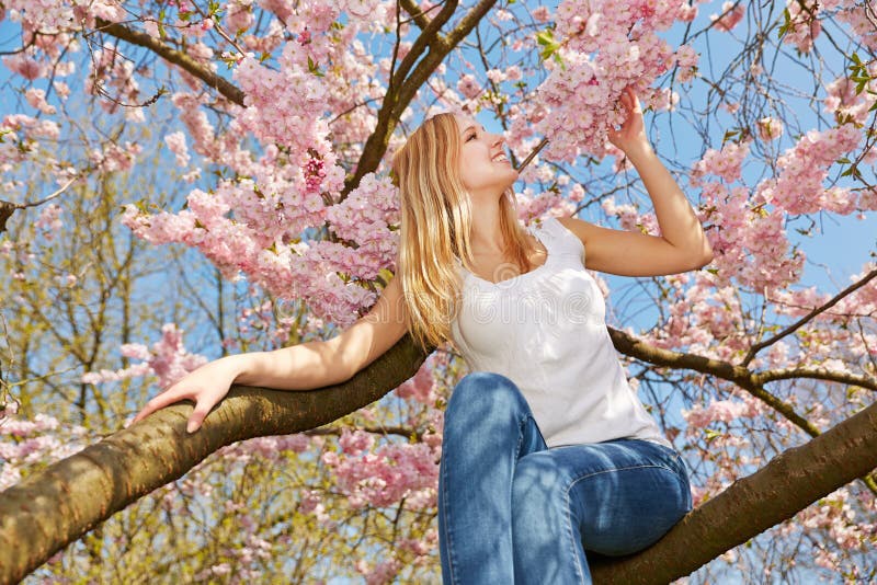 Woman Sitting on Branch in Cherry Tree Stock Photo - Image of flowering ...