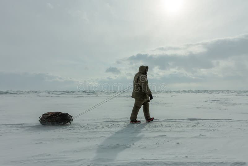 Woman with a Sledge Walk is on the Ice of Lake Baikal Stock Photo ...