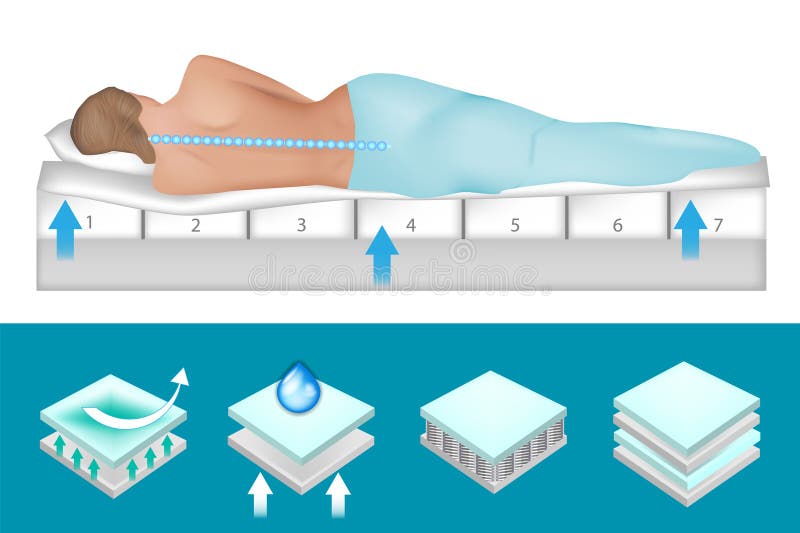 Woman Sleeping on Mattress. Layered Structure Orthopedic Mattress and ...